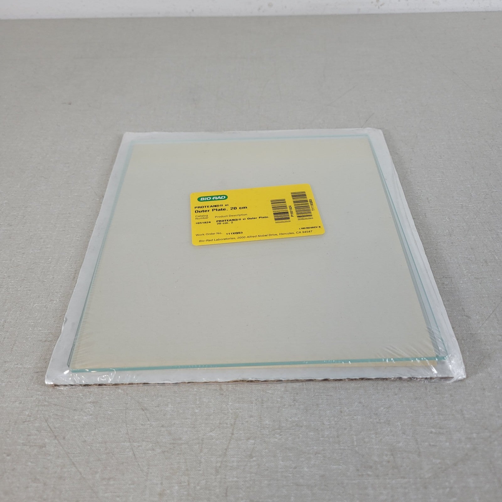 BIO RAD 1651824 Protean II xi Outer Plate 20 x 20cm for Electrophoresi ...